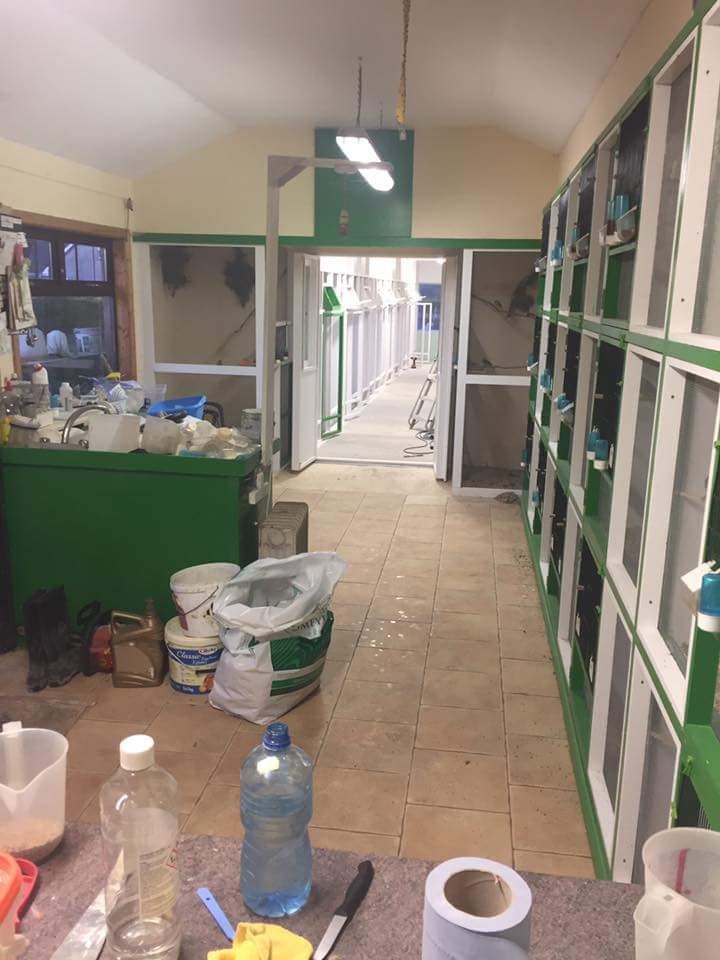 Greek Yorkshire Canaries: The buliding of the amazing aviary of James ...