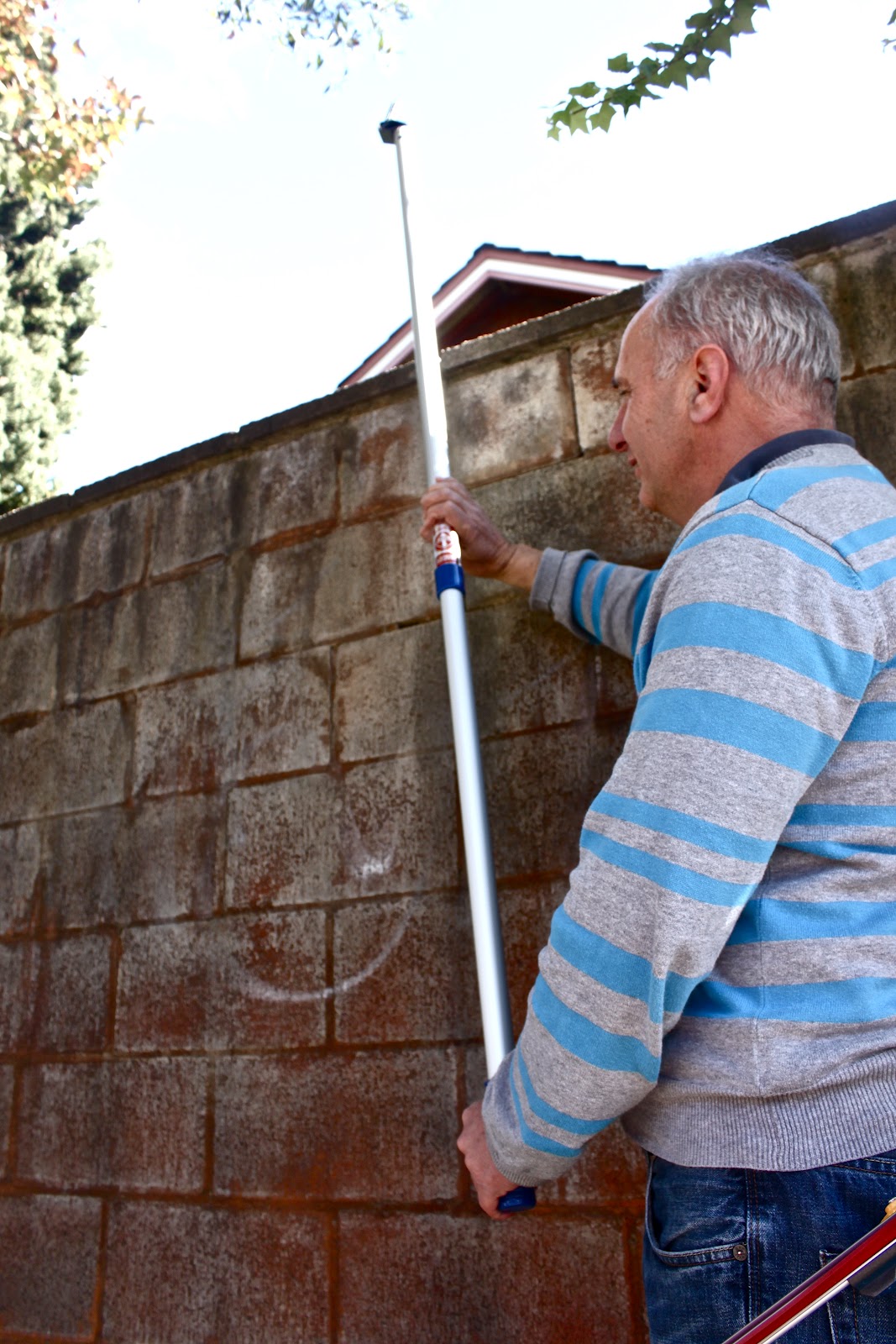 Wagtail Cleaning Tools