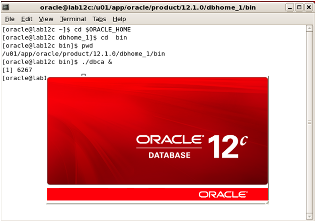 Senthil's Oracle DBA Blog: Creating a Multitenant Container Database ...