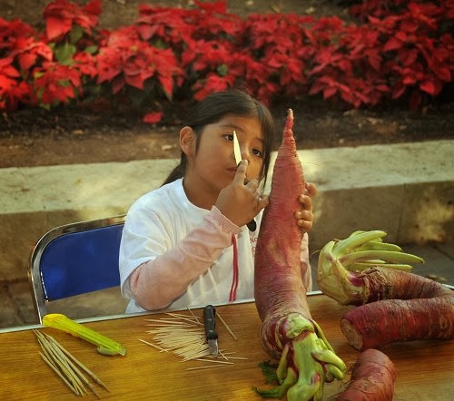Color in our World: Radishes Sculpted