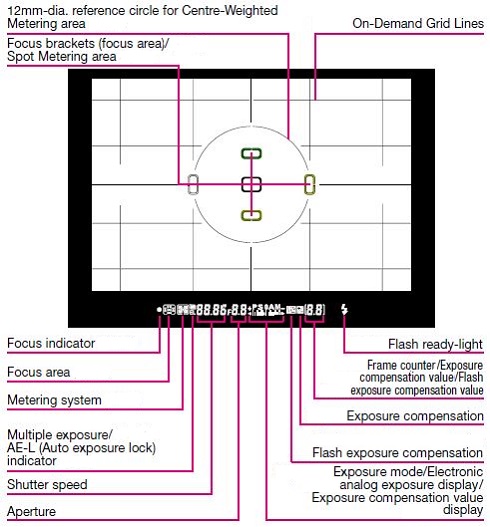Nikon F100 Viewfinder