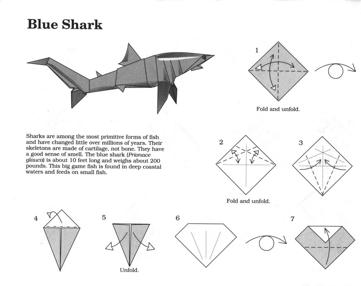 Shark Origami Step-by-Step Guide – all about origami
