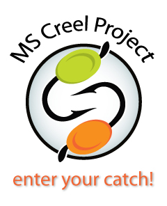 MS Creel Project - Online