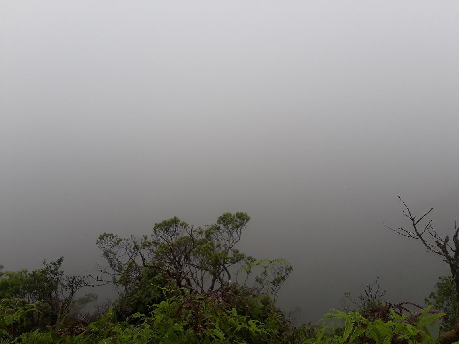 Elder Logan Porter: April 2018