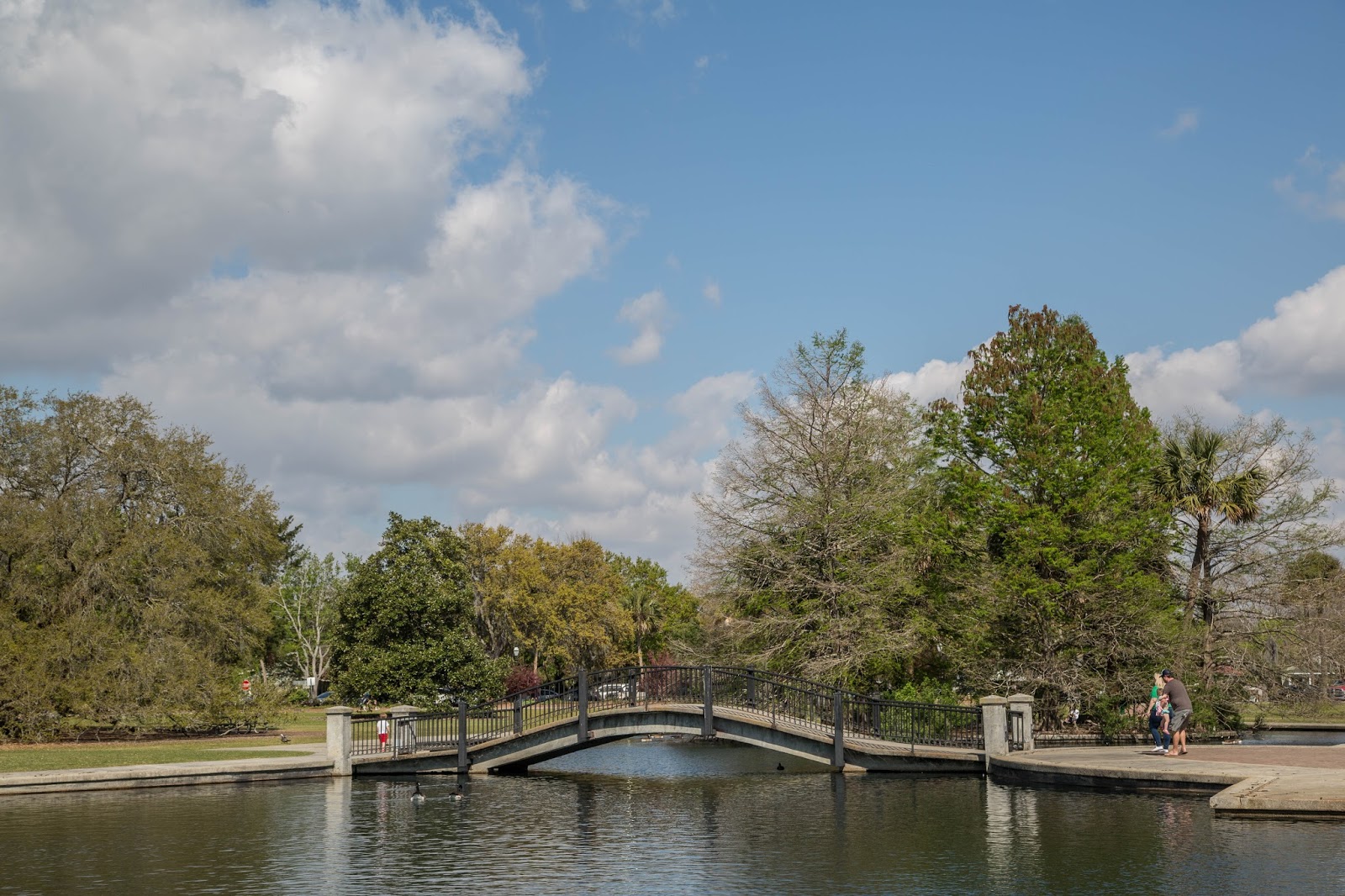Charleston Daily Photo: Walk with me - Hampton Park