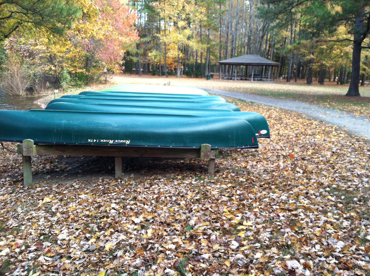 Pawstcards from Hampton Roads: Sandy Bottom Nature Park, Hampton, VA