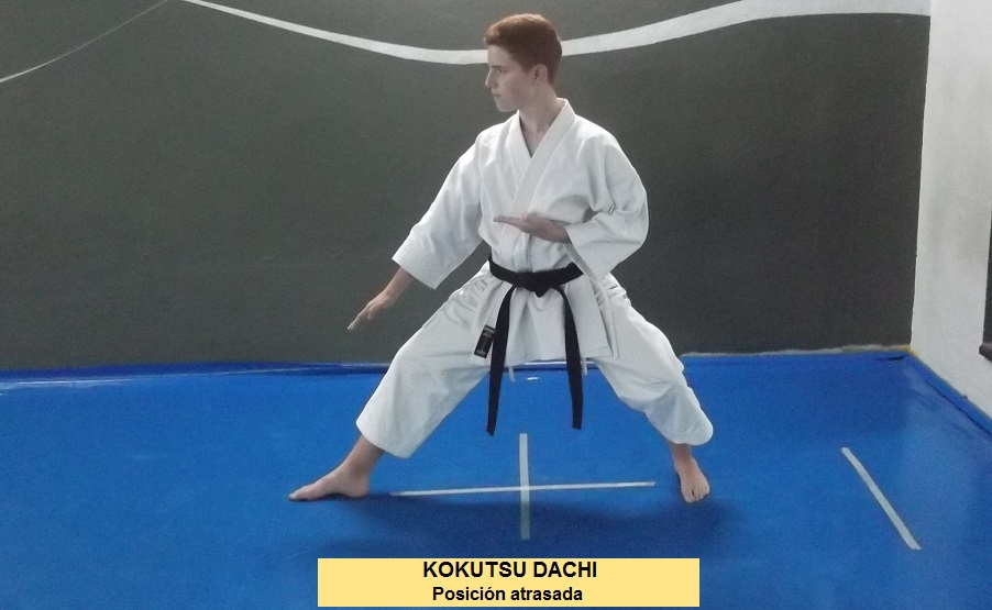 KARATE SHITO RYU ASTURIAS: Posiciones de Karate (Tachi Kata).