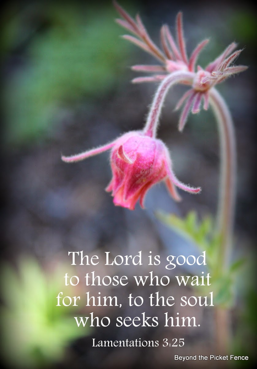 Beyond The Picket Fence: Sunday Verses