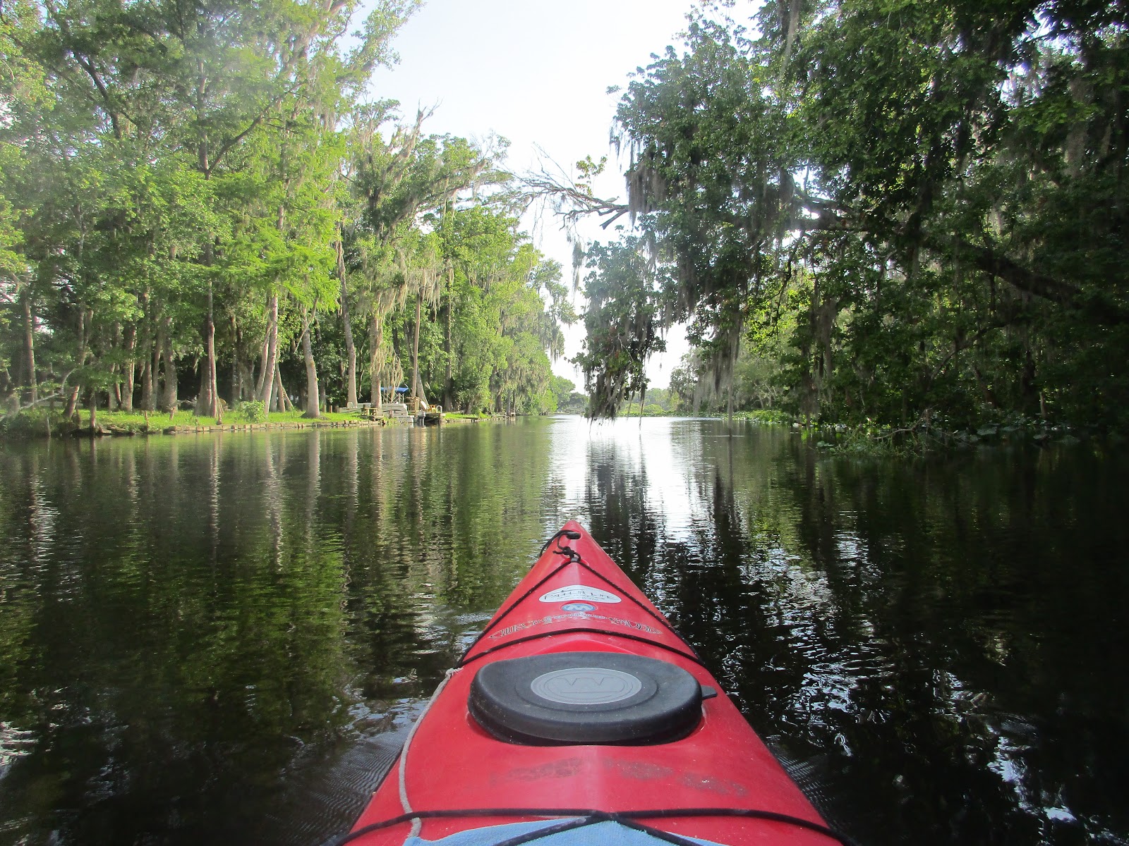 Dave's Yak Tales: Wekiva River and Blackwater Creek