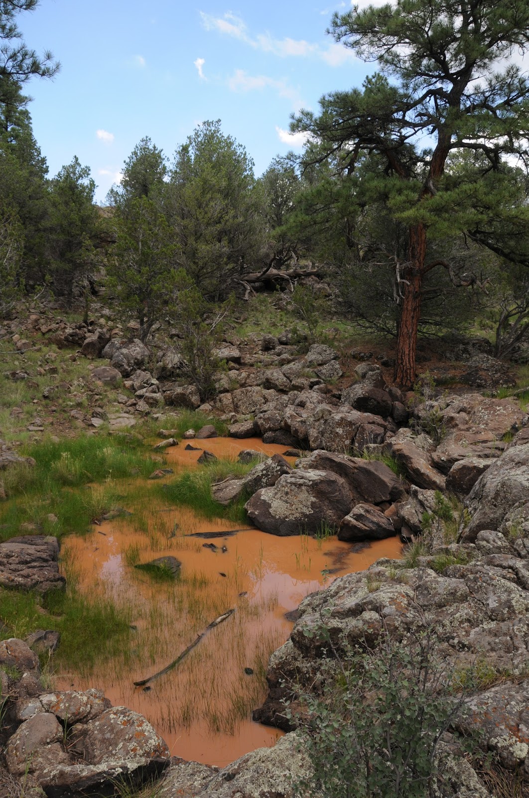 Arizona Hiking: BEALE WAGON ROAD HISTORIC TRAIL