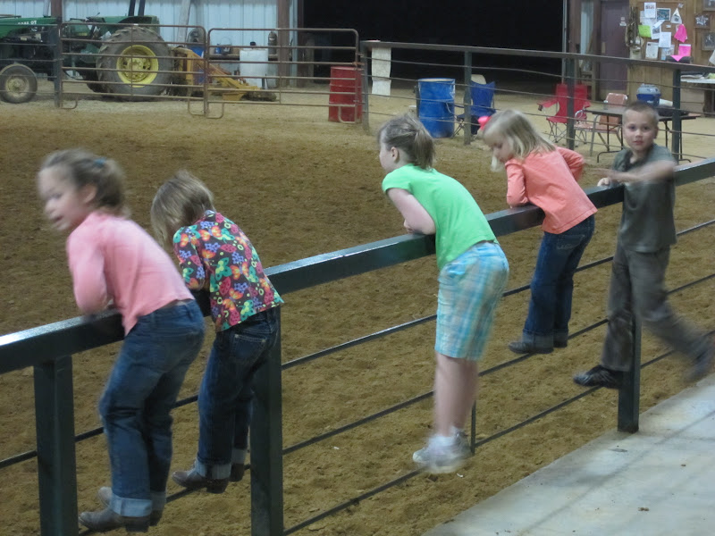 Chronicles of Emma: Donkey Sorting!