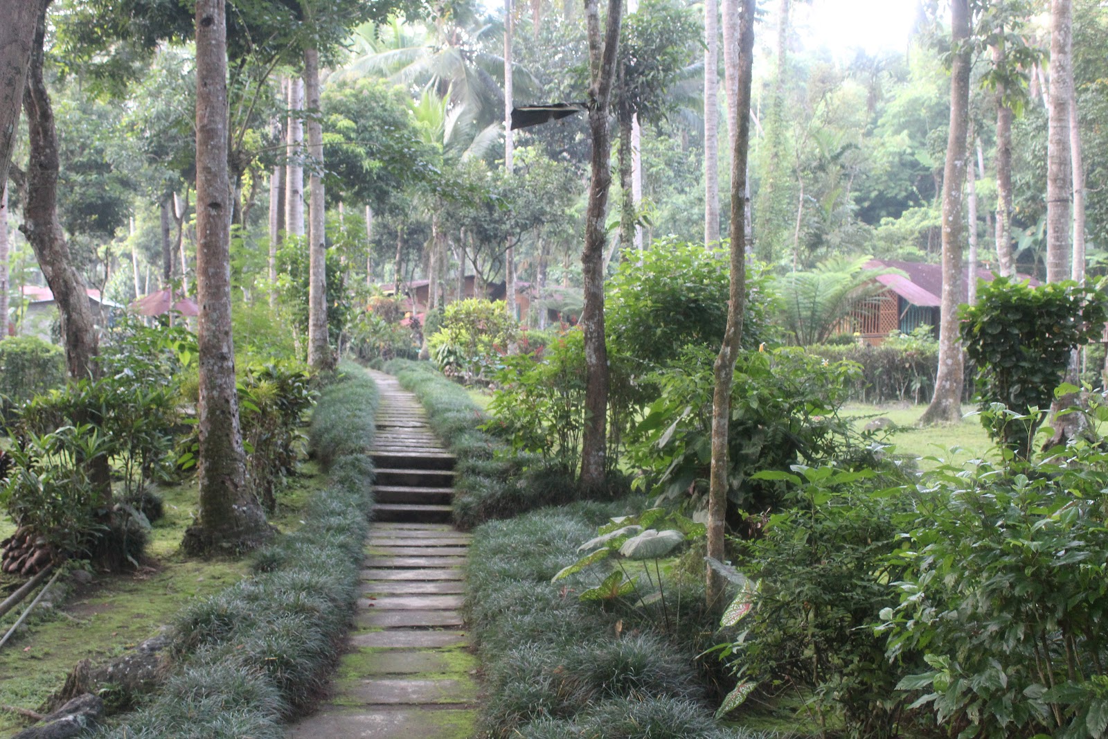 LEXICAL CROWN: LILIW RESORT: A COMPLETELY LUSH FOREST PARADISE