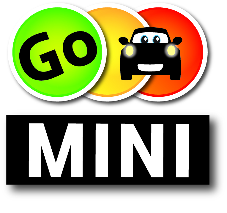Go MINI Stunt Launcher - My Three and Me