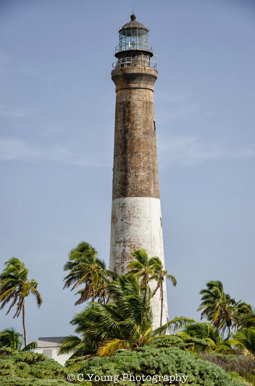 Young Adventures: Dry Tortugas Day 7 (Loggerhead Key)
