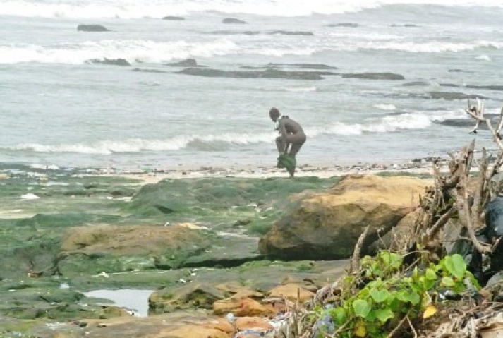 Environment News Ghana: African govts pledge to stop open defecation by ...