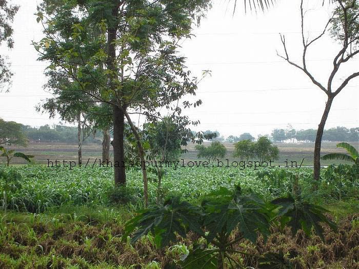 kharagpurmylove: Boronti, Muradi and Bero: Untrap natural habitat from ...