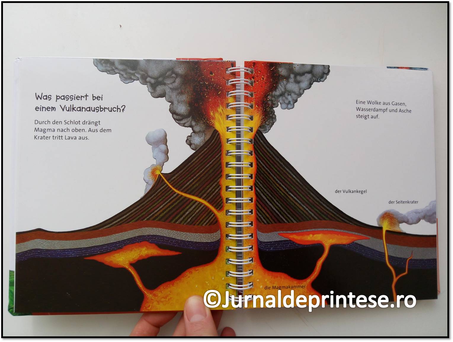 Vulcanii (Interest led learning theme)