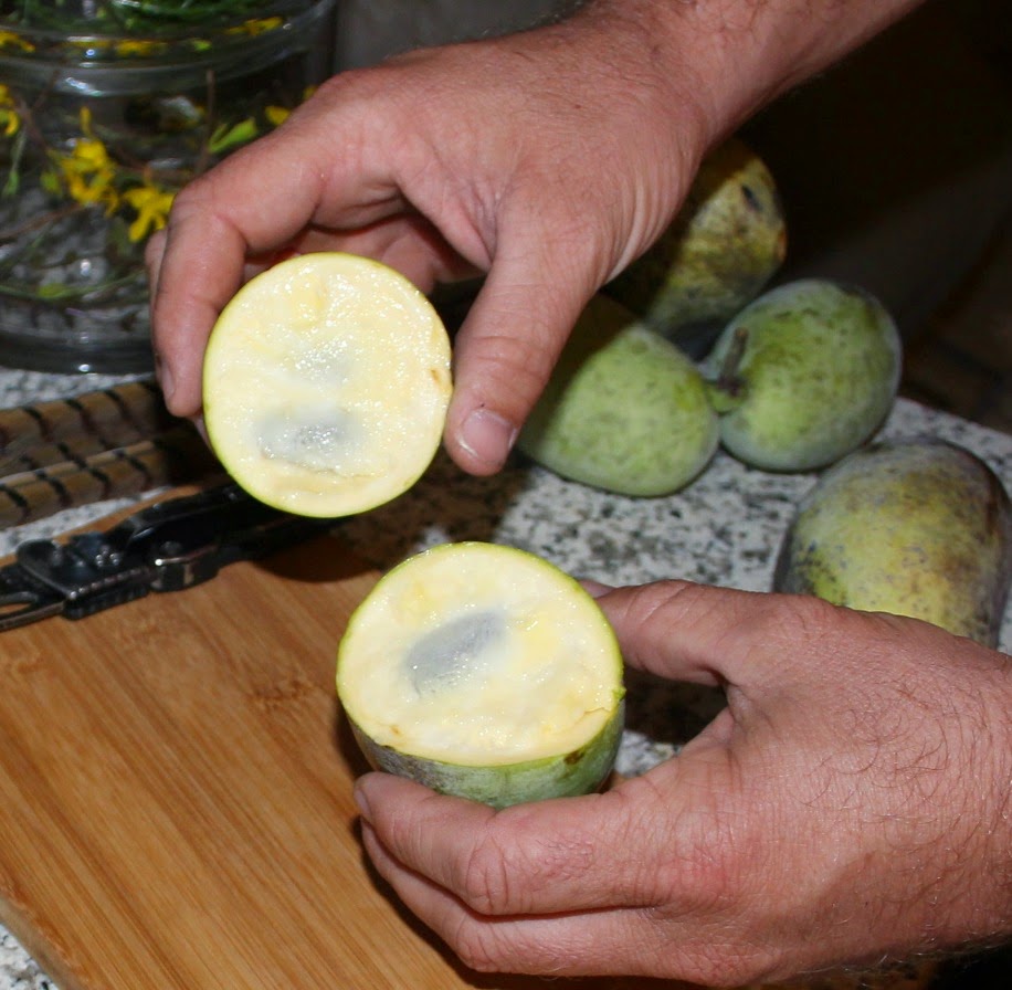 Fancy in the Country: Pumpkins & Pawpaws (The Indiana Banana)