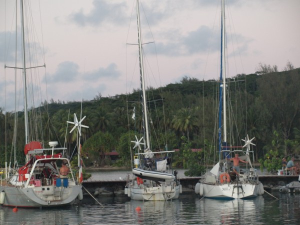 Lazarina des Océans: Lazarina au milieu des stars....