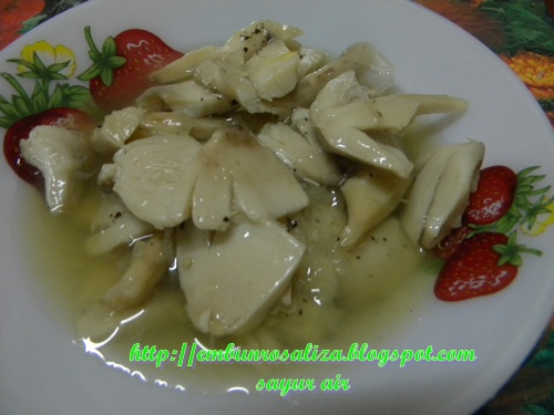 Embun ♥ Kaseh ♥ Rosaliza: KULAT PUSU @ CENDAWAN BUSUT