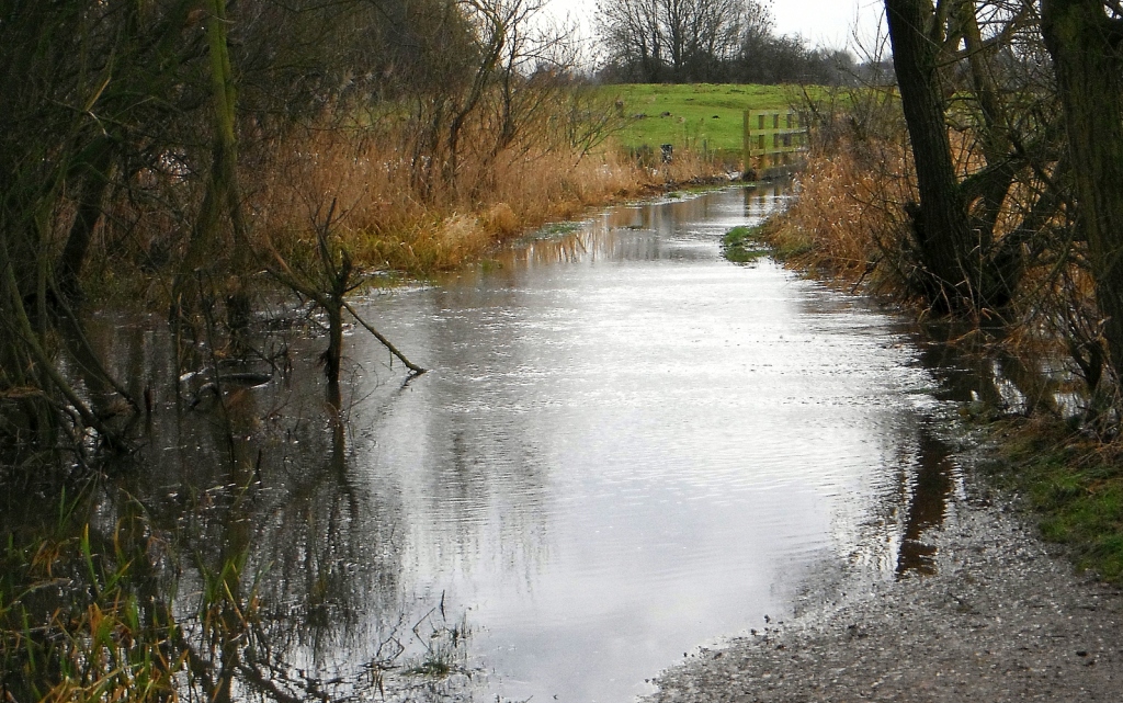 Staffordshire Photo: Flood blocks path