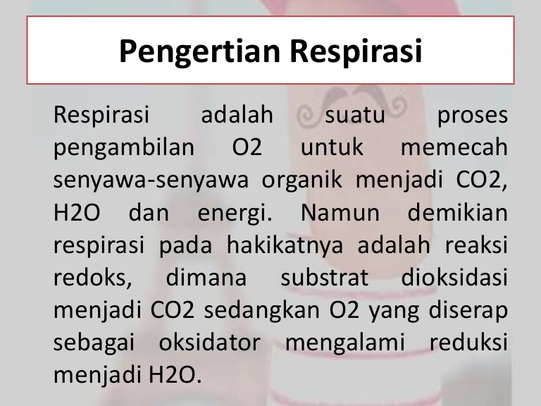 Pengertian Respirasi Terlengkap, Macam-Macam Respirasi - Artikel Materi ...