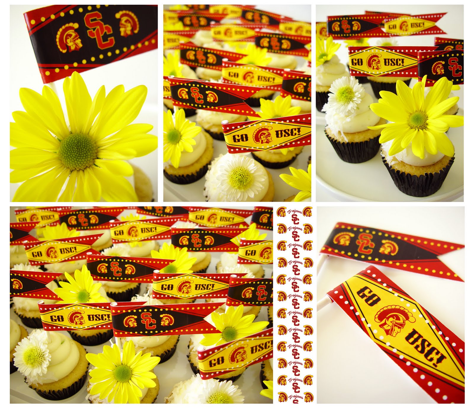 {ditzie cakes}: USC - GRADUATION DAY!