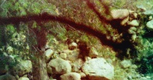 Hedgait هيدقايت ሄድጋይት: The Early Years of the Eritrean Liberation Army