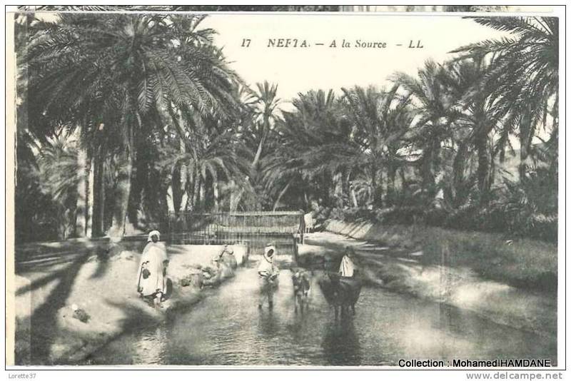 CULTURE et PATRIMOINE DE TUNISIE EN IMAGES- MOHAMED HAMDANE-ثقافة وتراث ...