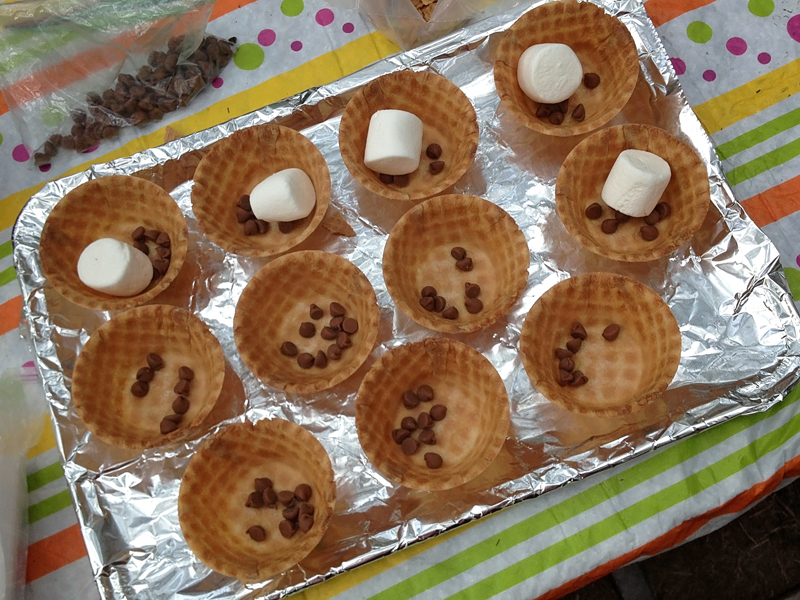 SugarPickle Designs: No Mess Camping Smores!