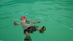 Whale Wisdom: Just Say No....to arm floaties!