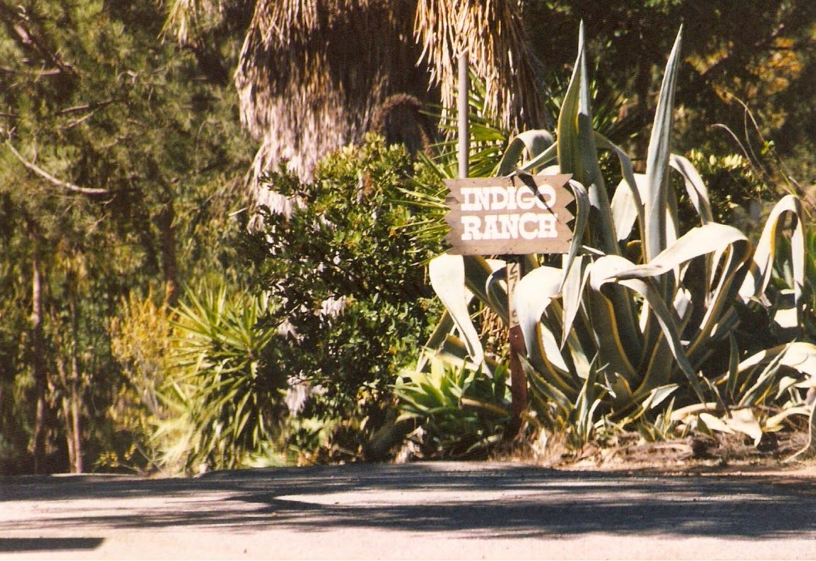 Growing Up Green : SOULFLY ONE.....LET'S HEAD TO MALIBU!! PART 2