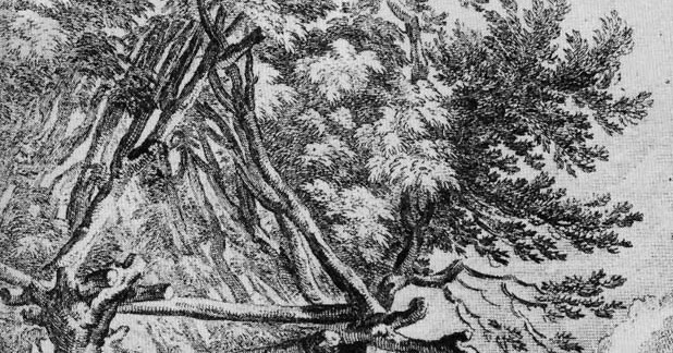 Teoría del Habitar, Uruguay: Eso que se deja ver