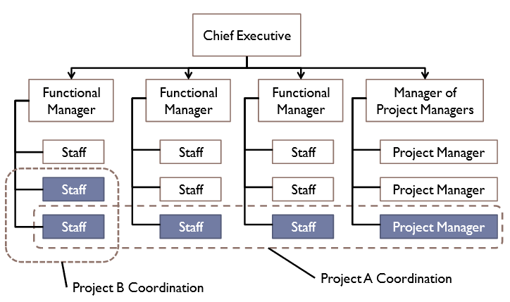 Project Management: Project Management with Organisational Influences