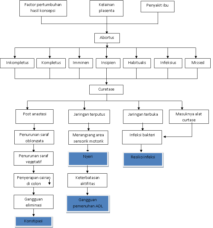 ABORTUS | King Sasaqi