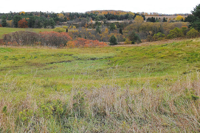 Camera on King & Aurora : Magna International moving to King City