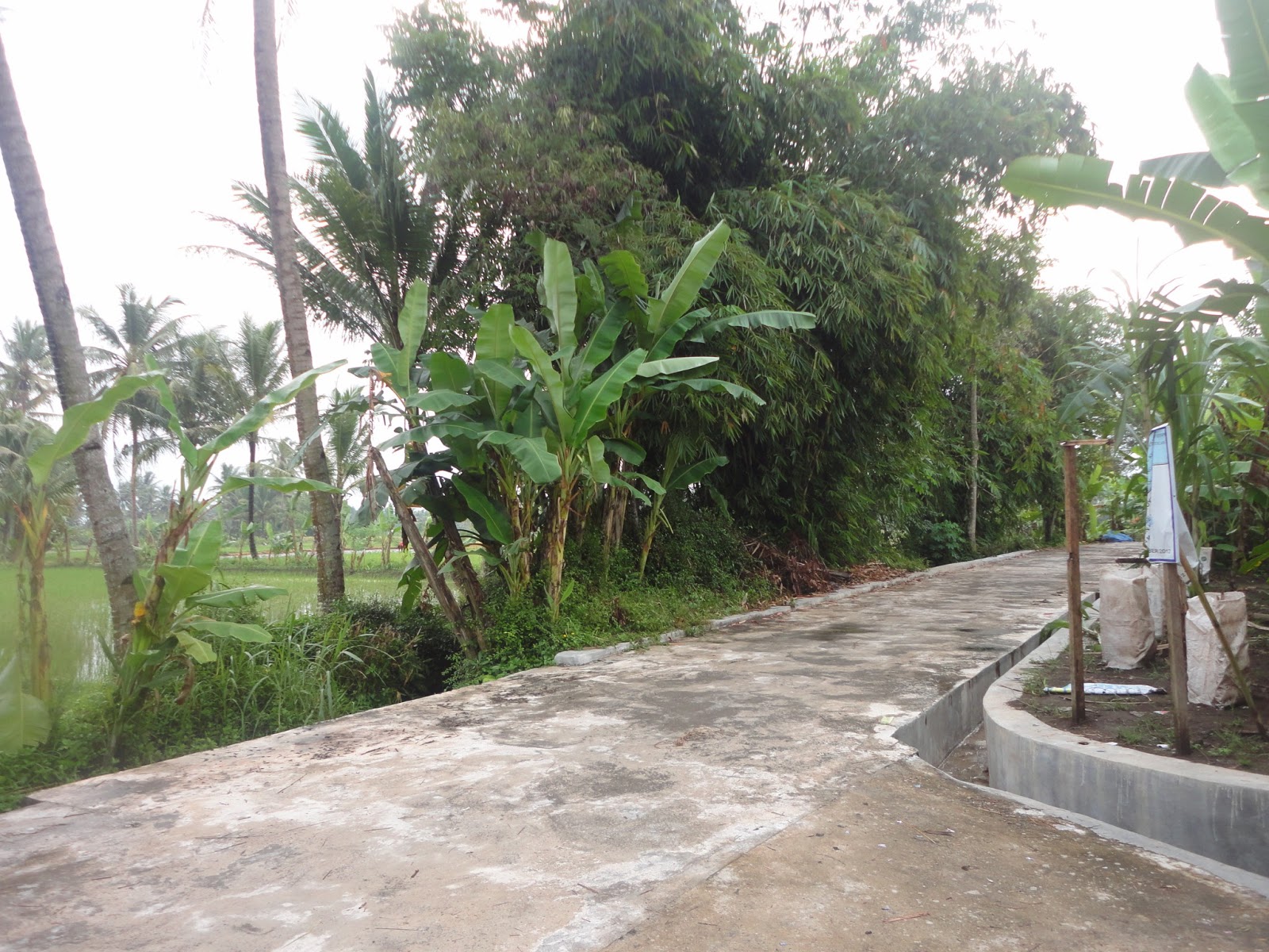Majan