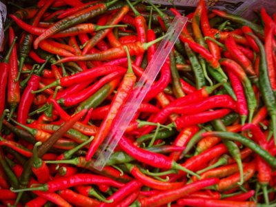 Baja Foliar Mekar Super Grow: TESTIMONI PENGUSAHA TANAMAN CILI ...