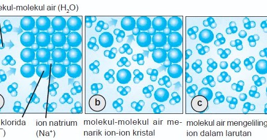 Pengertian dan Contoh Larutan pada Zat Padat, Cair dan Gas serta Faktor ...