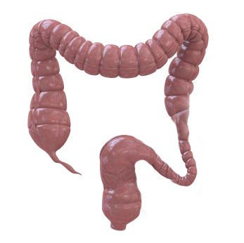 Philadelphia Health Connections: What is Colon Therapy?