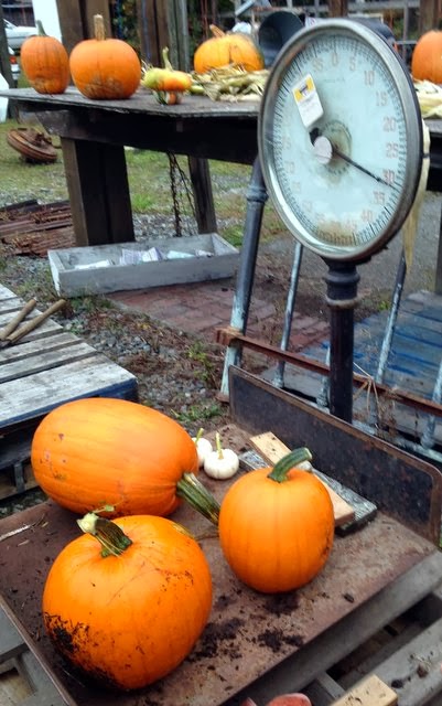 Ingredients of an Everyday Masterpiece