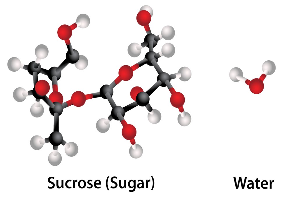 The Science Pole: Why is sugar sticky?