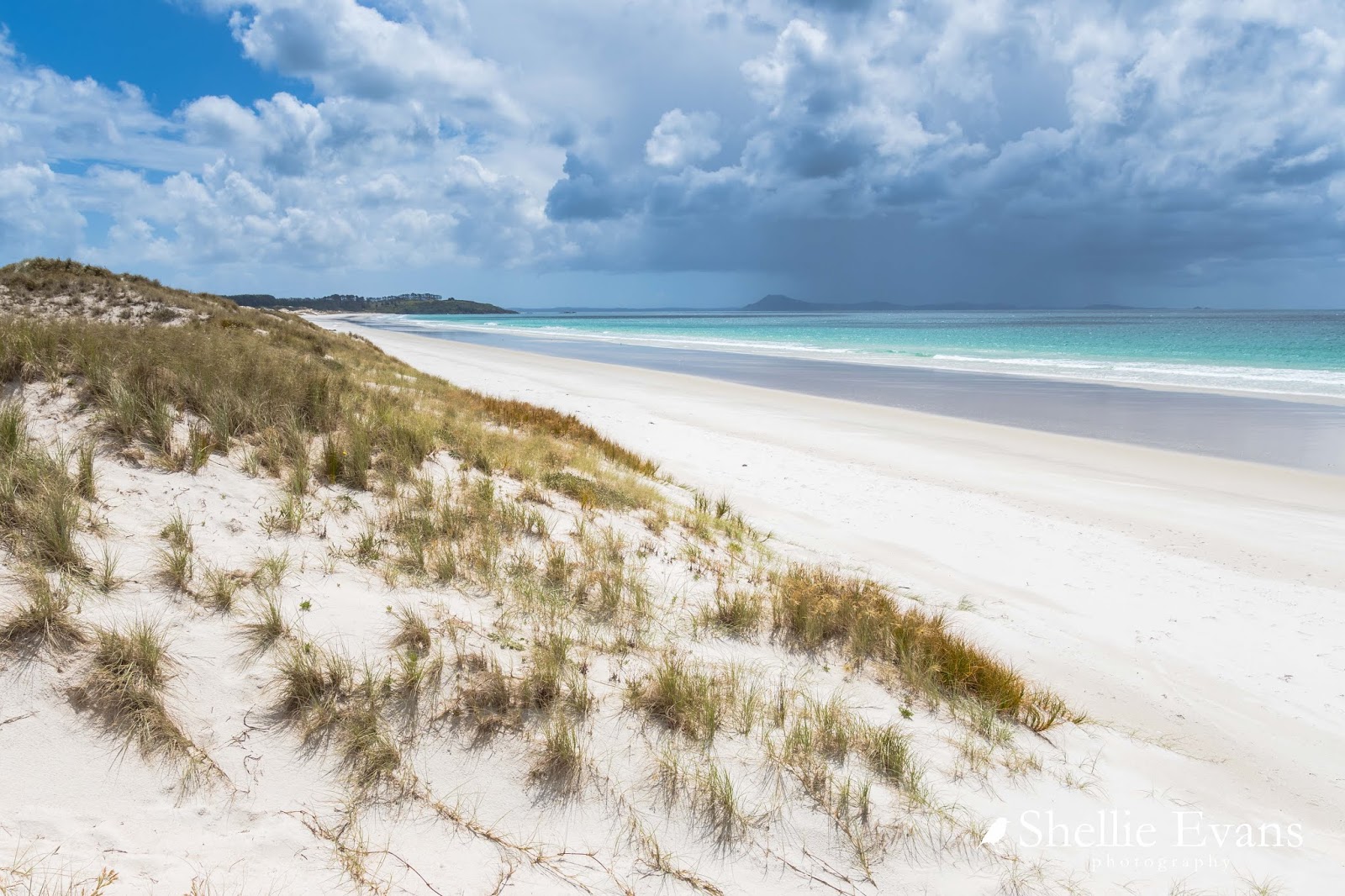 Two Go Tiki Touring: The Best of 2018