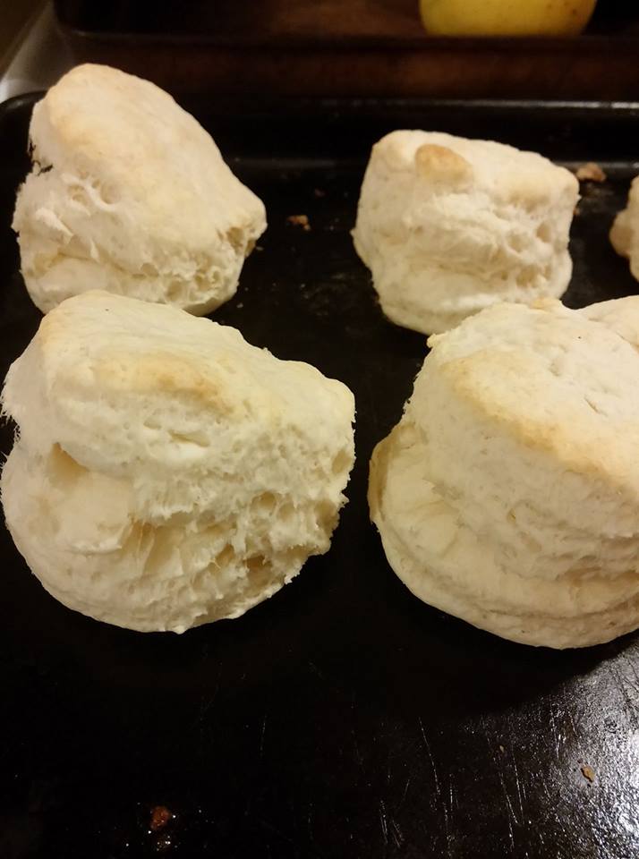 Designs by Diligence: Homemade Biscuit Mix