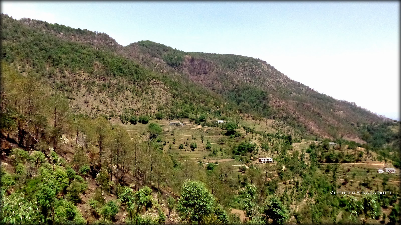 Uttarakhand Tourism: Dwarahat Dunagiri & Pandavkholi Photos