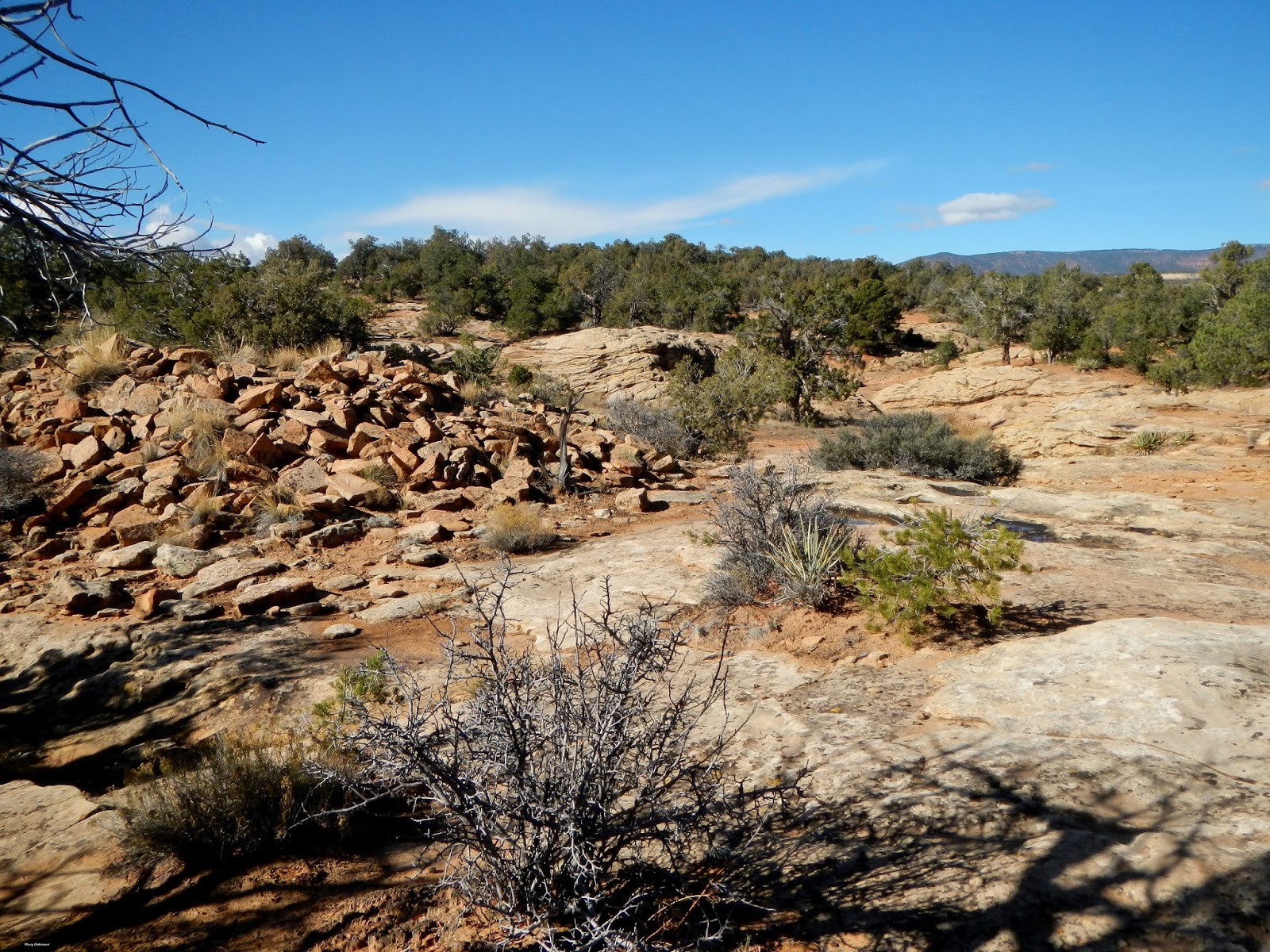 The Southwest Through Wide Brown Eyes: Half Day Tour with Four Corners ...
