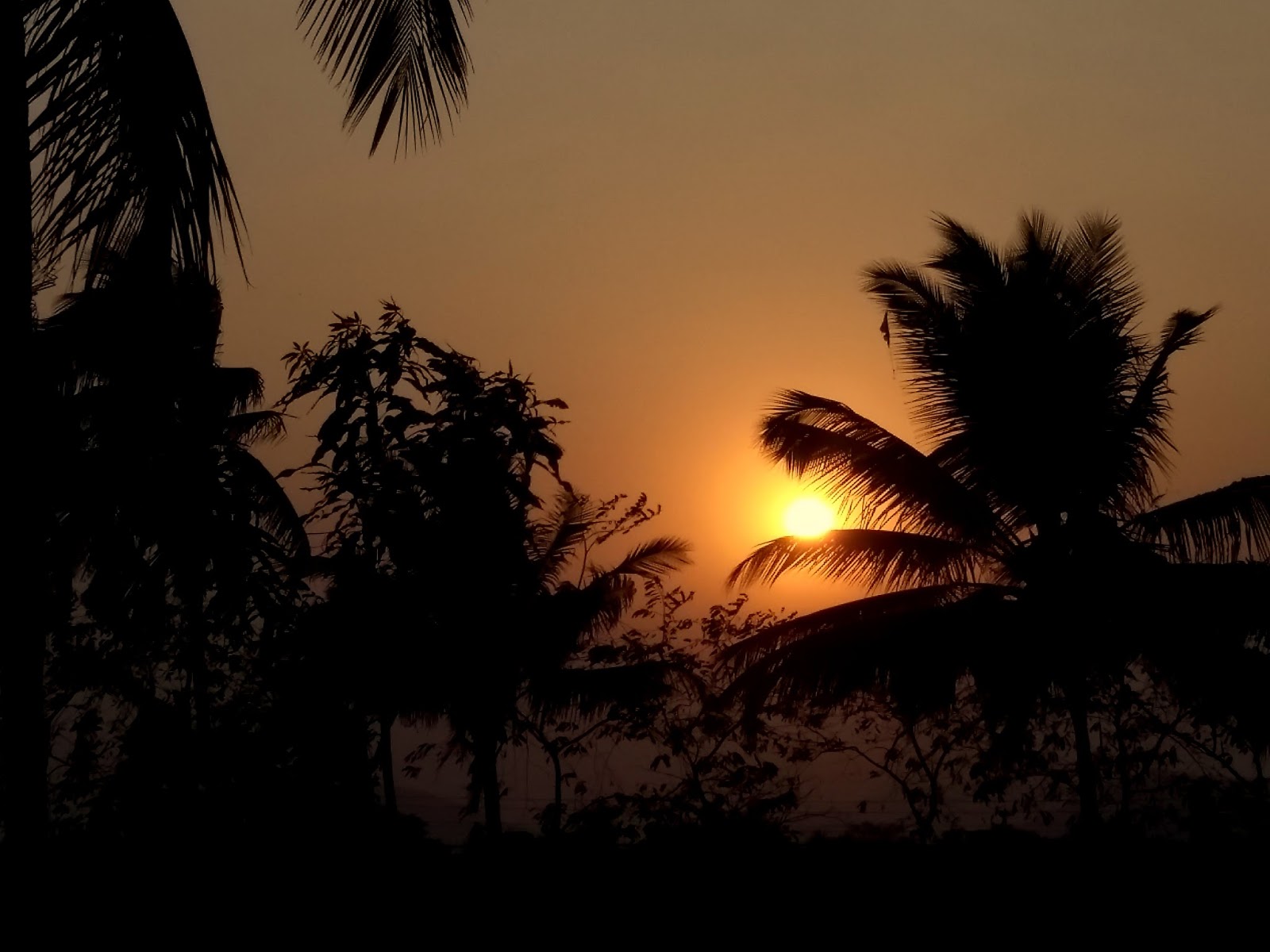 Sunset at Blue Ridge, Pune