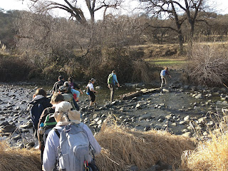 Hiking Around Sacramento: Redbud Trail - Cache Creek Canyon BLM