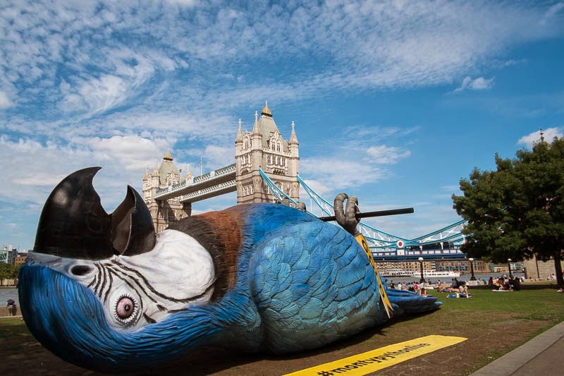 Fresh eyes on London: Dead Parrot