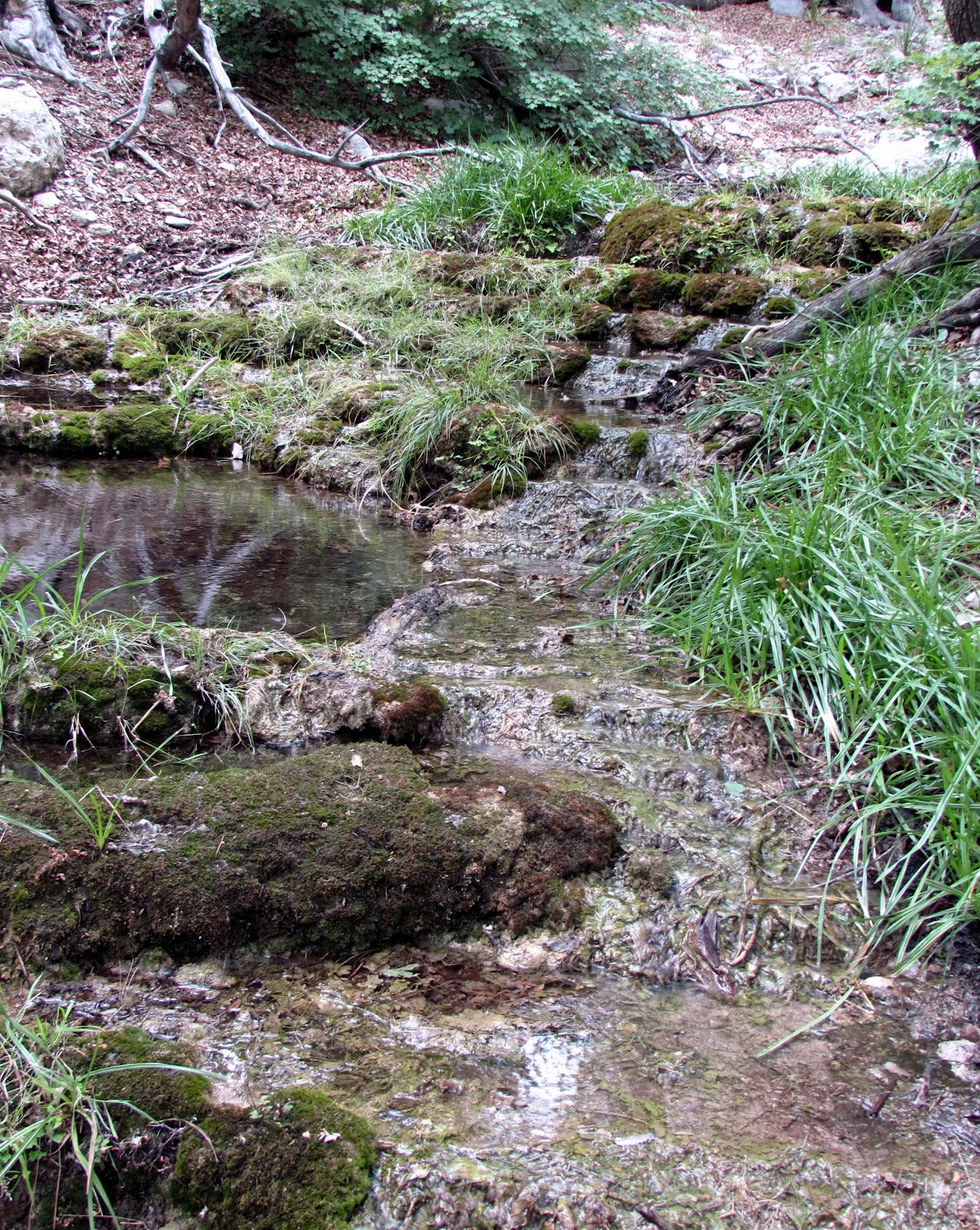 Paula & Dale on the road: Guadalupe Mountains National Park